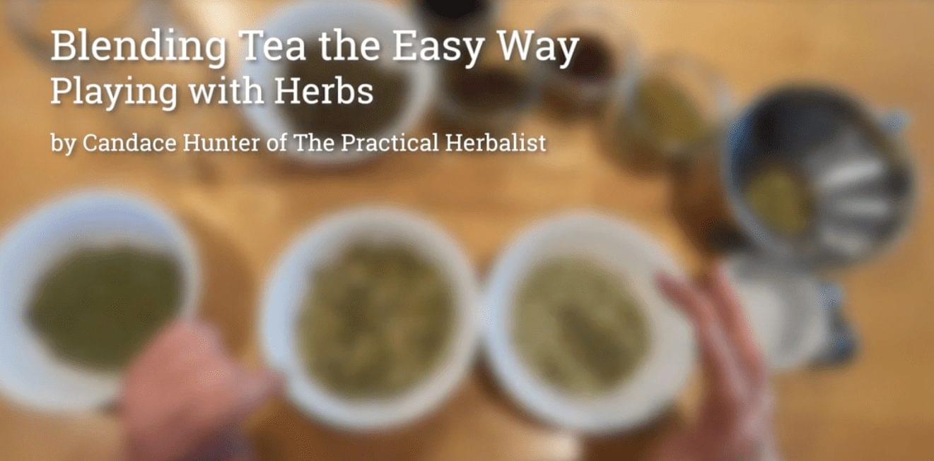 Tasty Nutrition Herb Tea Blend & Tips for Blending Your Own Teas | The ...