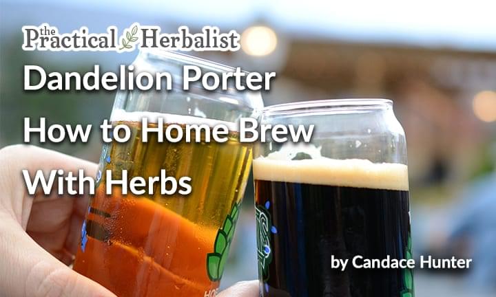 How to Home Brew: Easy Dandelion Porter, Malt Extract Herbal Beer | The ...