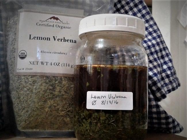 How to Make a Tincture: Easy Herbal Home Medicine | The Practical Herbalist