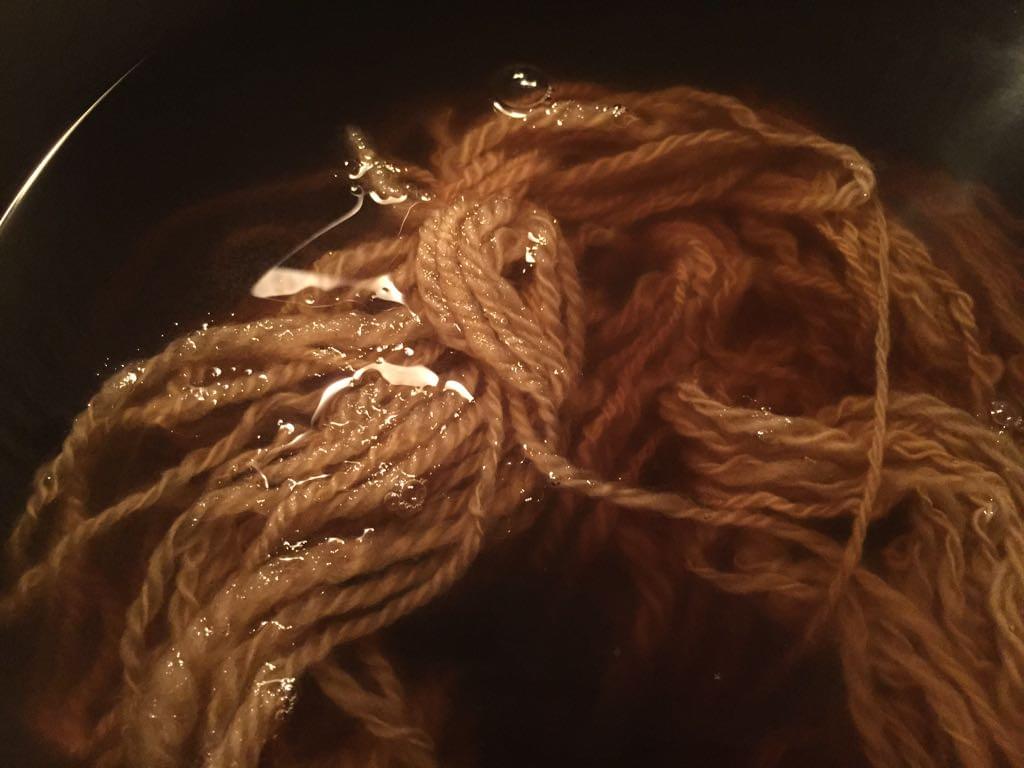 DIY Herbal Dyes: Fennel on Animal Fiber | The Practical Herbalist