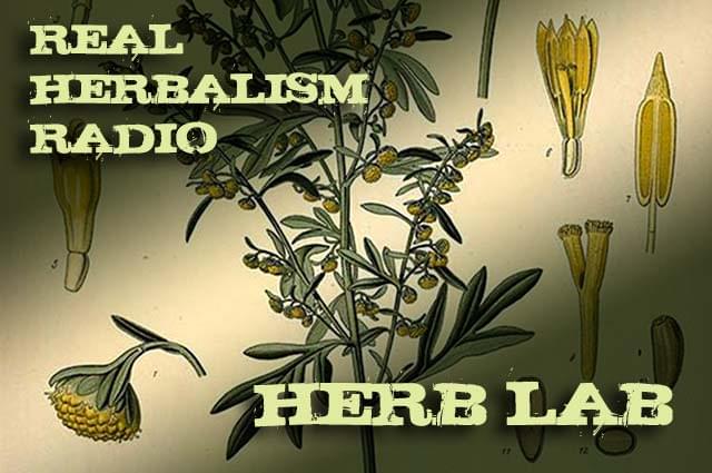 55.Herb Lab with Herbal Studies and Herbal 101 | The Practical Herbalist