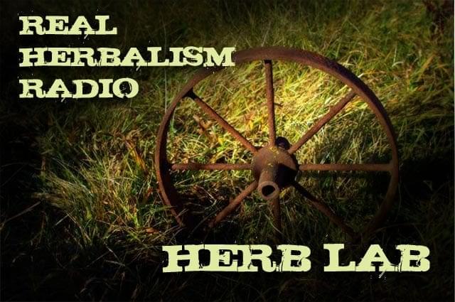 69.Herb Lab with Primitive Skills and Ancestral Living Skills | The ...