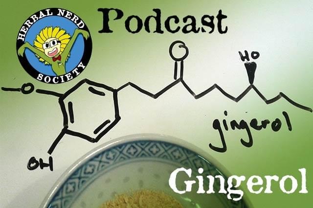 How It Works - Gingerol from Ginger | The Practical Herbalist
