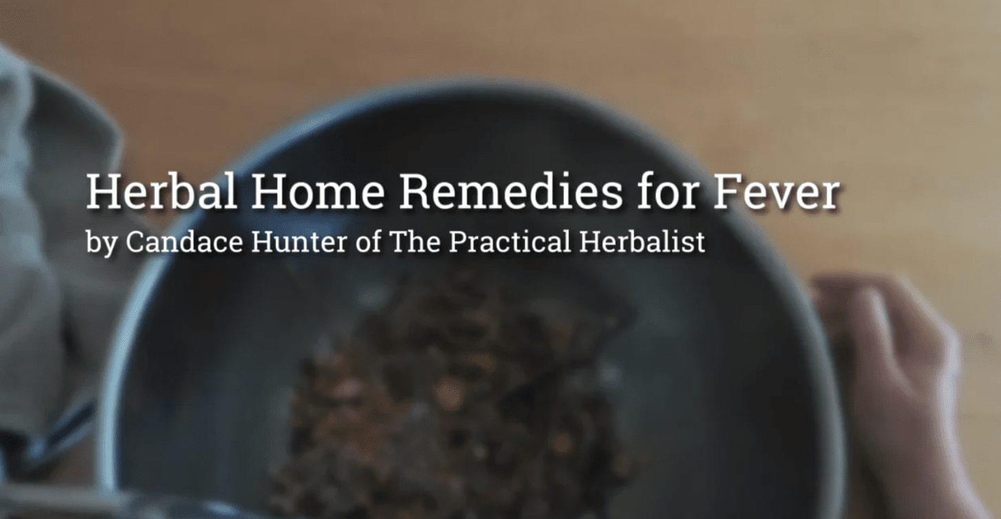 Medicinal Vinegar Infused with Herbs: Easy Remedy to Make at Home
