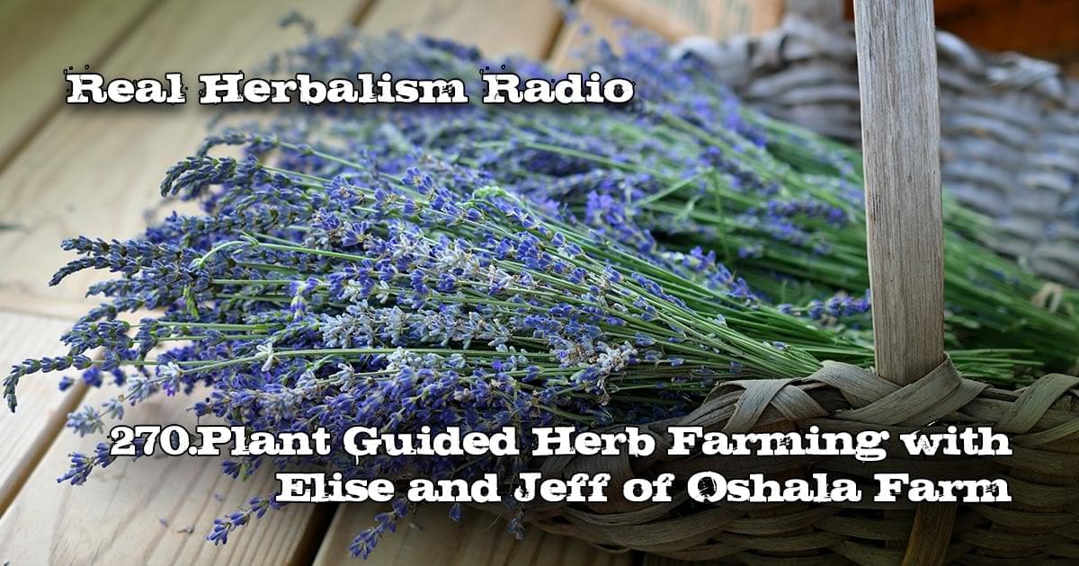 270.Plant-Guided Herb Farming with Elise and Jeff of Oshala Farm | The ...