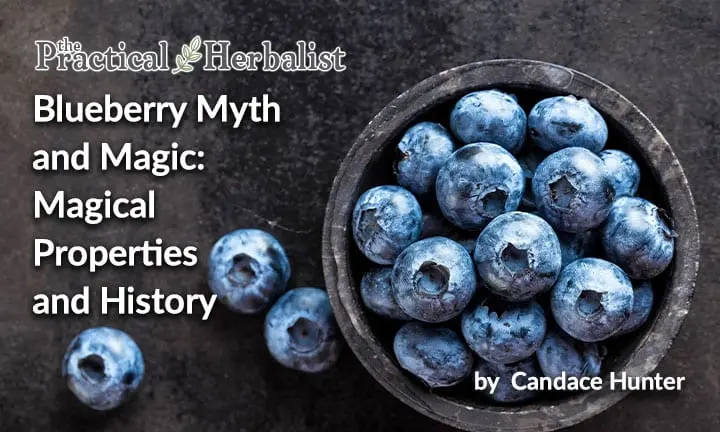Blueberry Myth and Magic: Magical Properties and History | The ...
